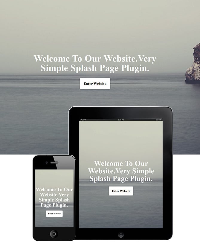 Very Simple Splash Page Plugin – Free | 한국워드프레스랩